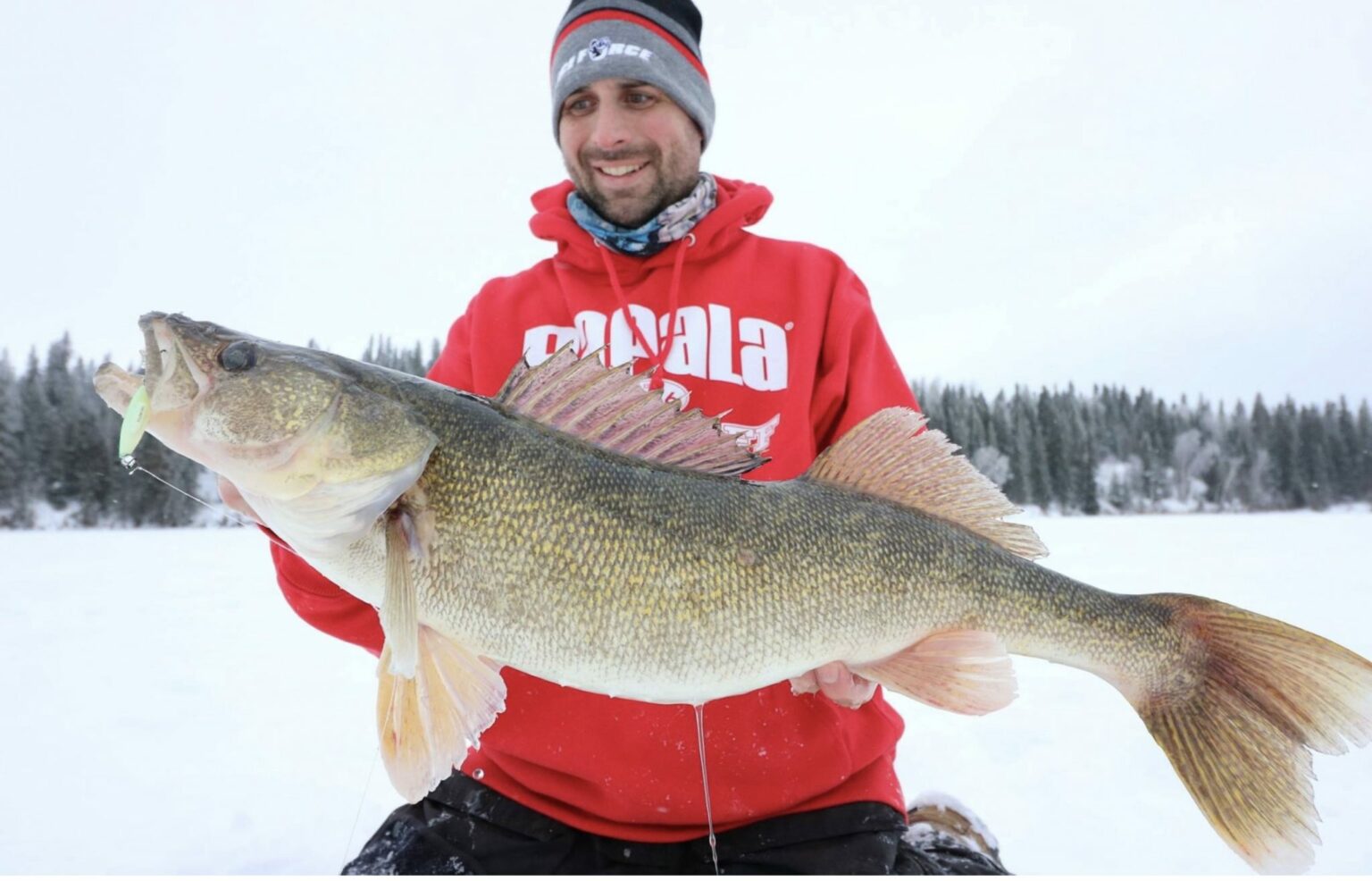 How to Catch More Trophy Walleye During Early Ice W/ Bryan Bogdan ...