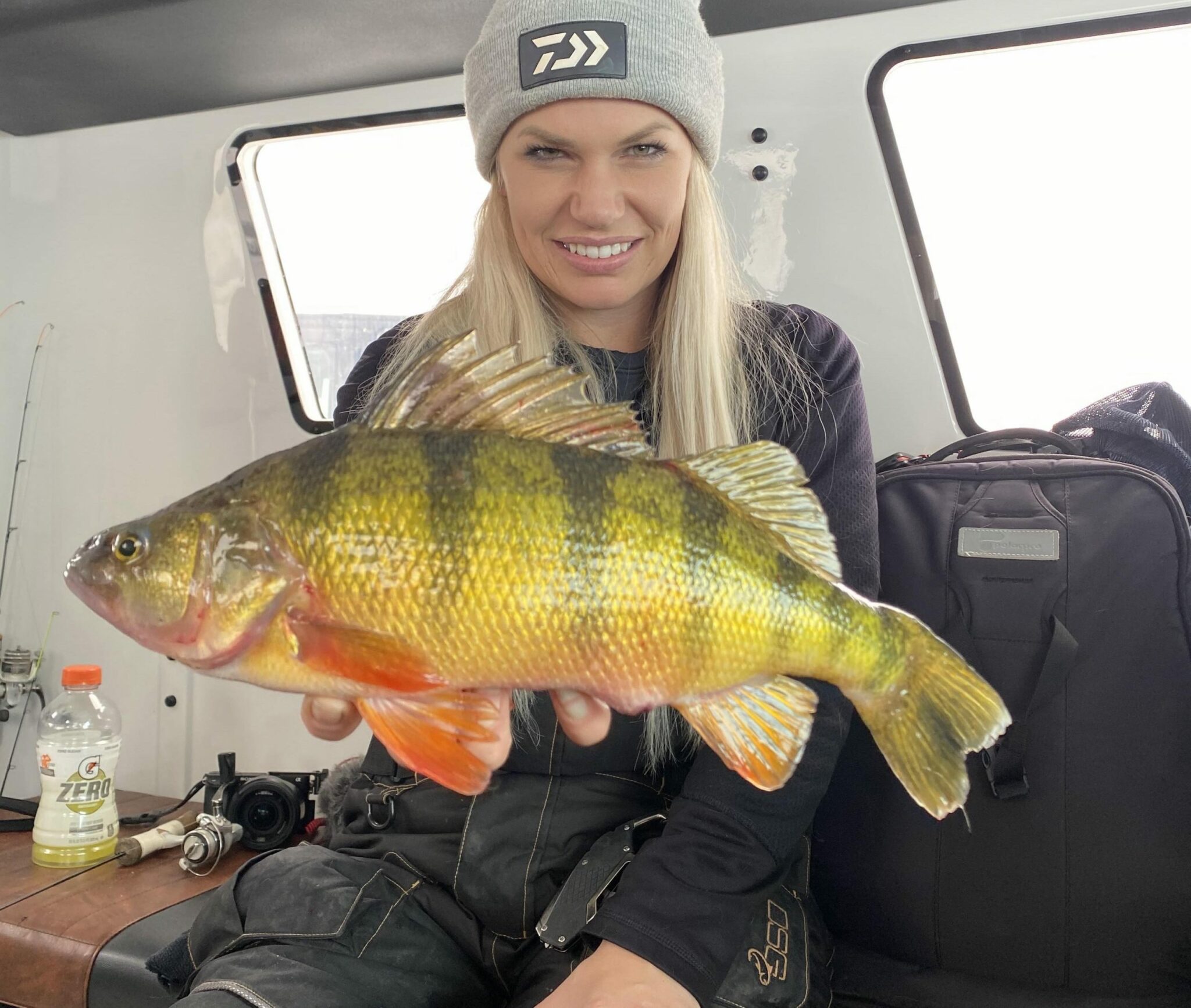 Perch Archives - Virtual Angling