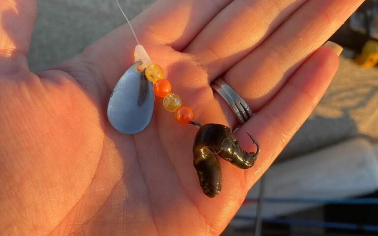 Panfish Secrets: How to Find And Catch Panfish ALL Year Long - Virtual ...