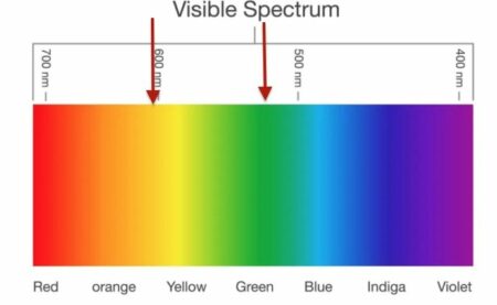 Does Lure Color Matter? The Surprising Science Behind Walleye Color ...