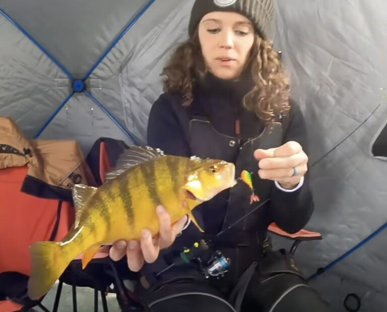 Ice Fishing Lake Cascade Jumbo Perch: How To Plan Your Trip! - Virtual ...