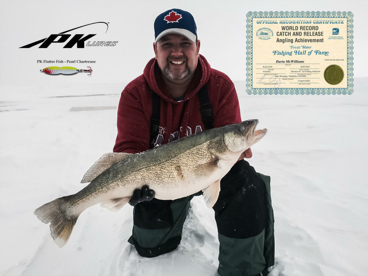 Catching the World-Record Winnipeg Walleye - Virtual Angling