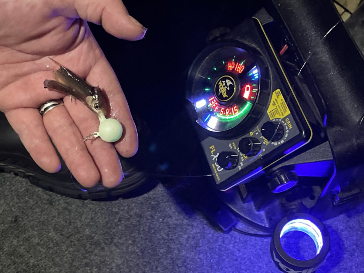 How to Fish Eelpout - Virtual Angling