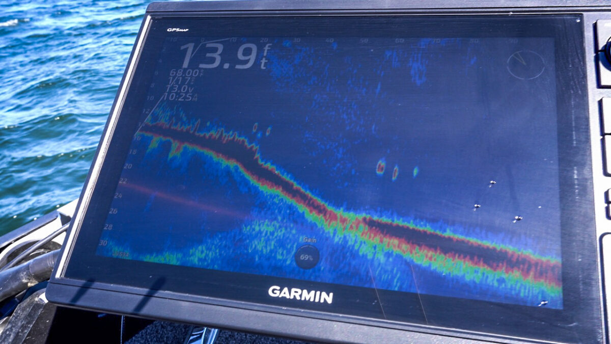 Tips for Identifying Target Species on Forward Facing Sonar - Virtual ...