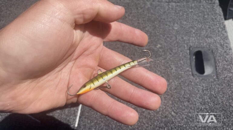 Home - Virtual Angling