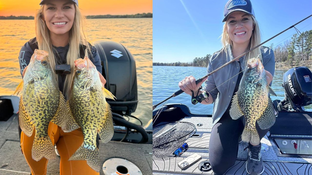 My Top Crappie Fishing Picks for Summer 2025 - Virtual Angling